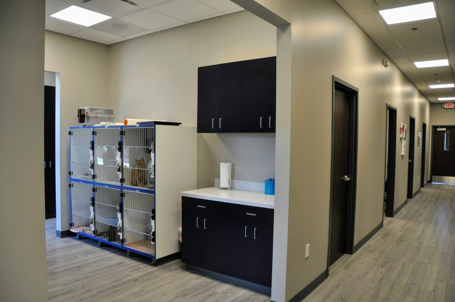 Vet Clinic Image Gallery | Deer Creek Animal Hospital